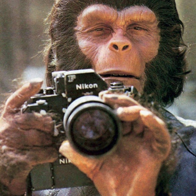 David Hurst Batteau (@davidbatteau) · Gab.com - Gab Social