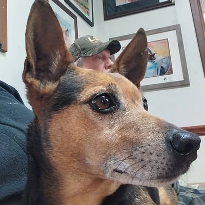 Kathy Dudley (@Nana25kids) · Gab.com - Gab Social