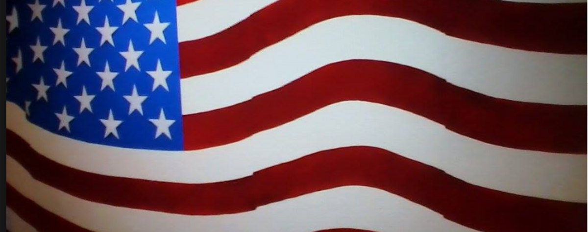 THE WCC COUNCIL FOR GLOBAL ARYAN RIGHTS · Group · Gab.com - Gab Social