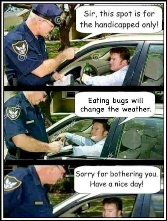 Memes and Funny Pics XL - Page 37