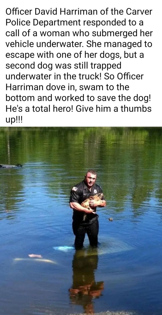 Memes and Funny Pics XXXVIII - Page 51