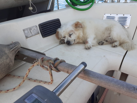 Memes and Funny Pics LXlll - Page 13