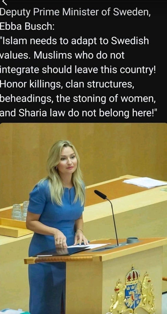 Memes and Funny Pics LI - Page 85