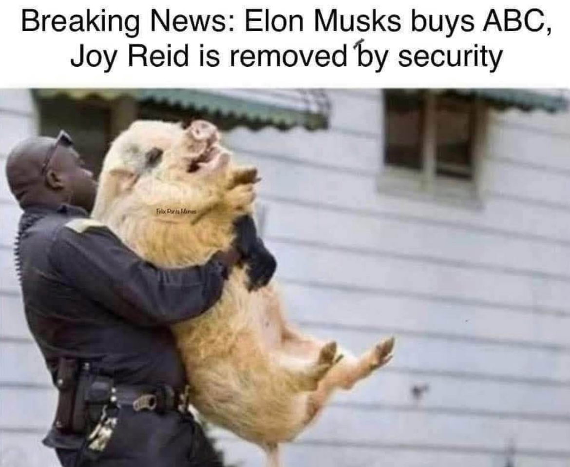 SUNDAY FUNNIES – The Burning Platform