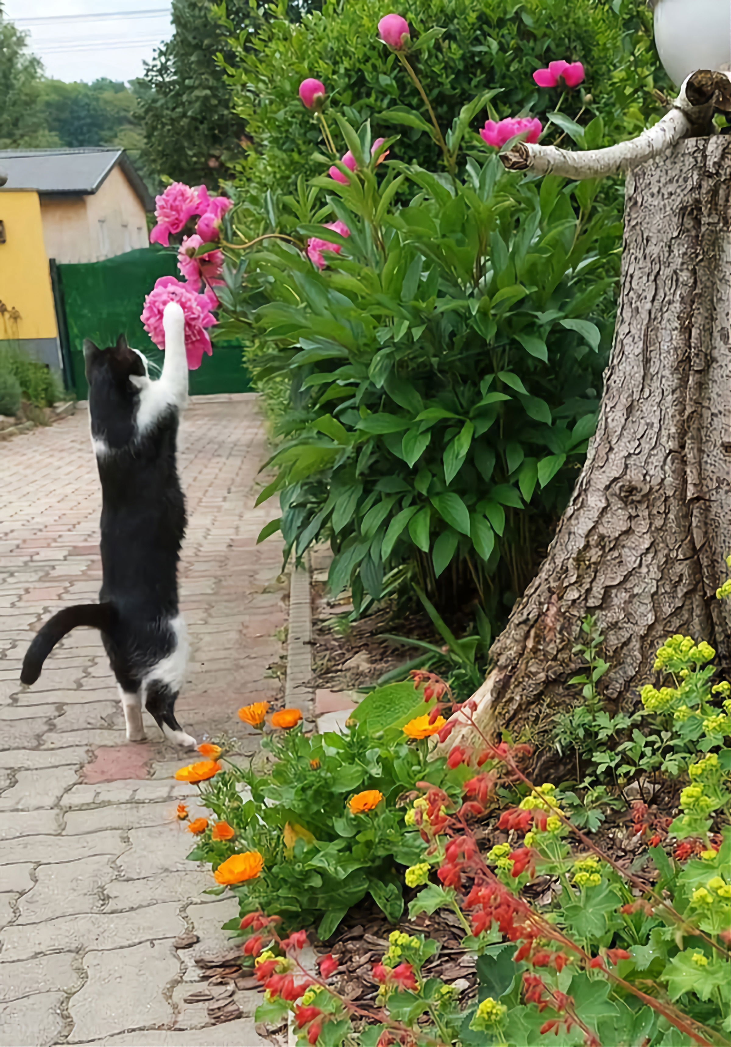 Saturday July 5th - Open Thread - The Last Refuge