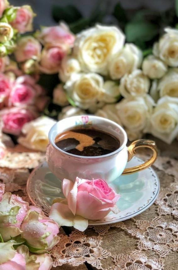 Saturday July 5th - Open Thread - The Last Refuge