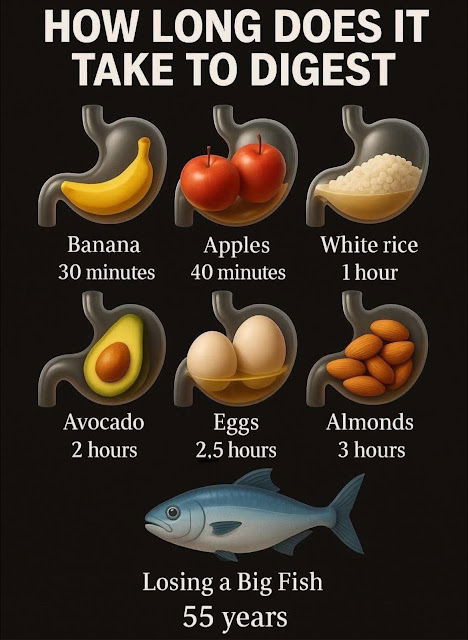 Its meme time - 24hourcampfire