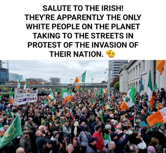 Memes and Funny Pics XLVII - Page 39