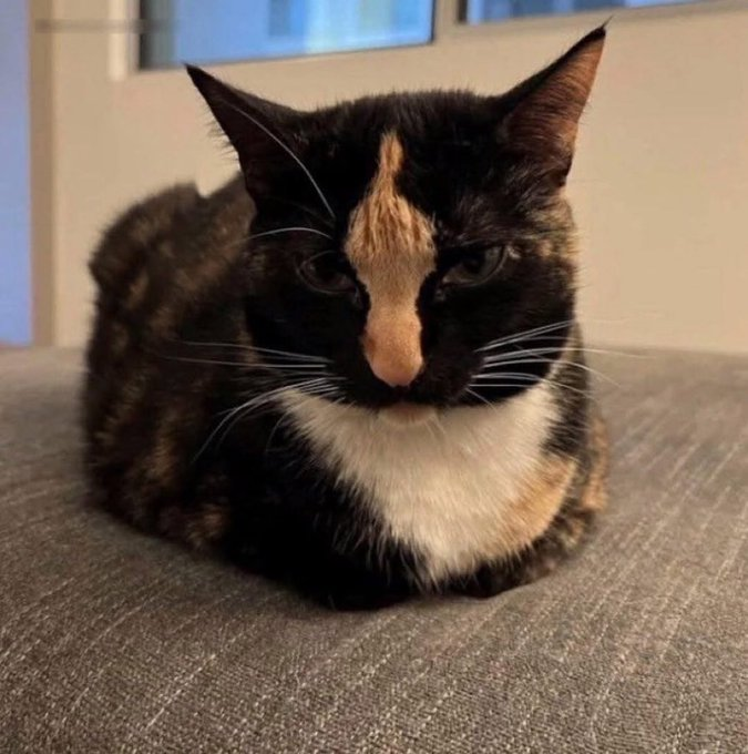 Saturday July 5th - Open Thread - The Last Refuge