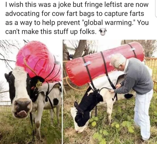 Memes and Funny Pics LXX - Page 31