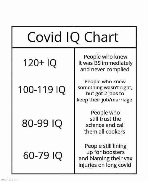 Trump Memes - Dissident.one