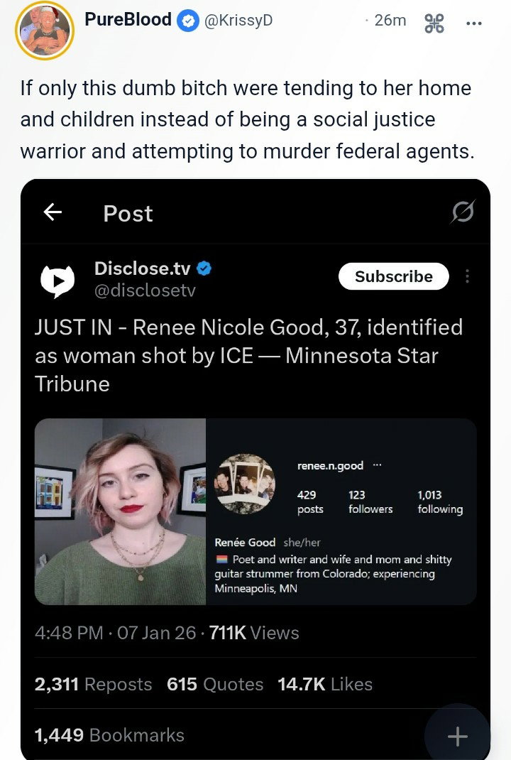 What was Renee Nicole Good doing in Minnesota - 24hourcampfire