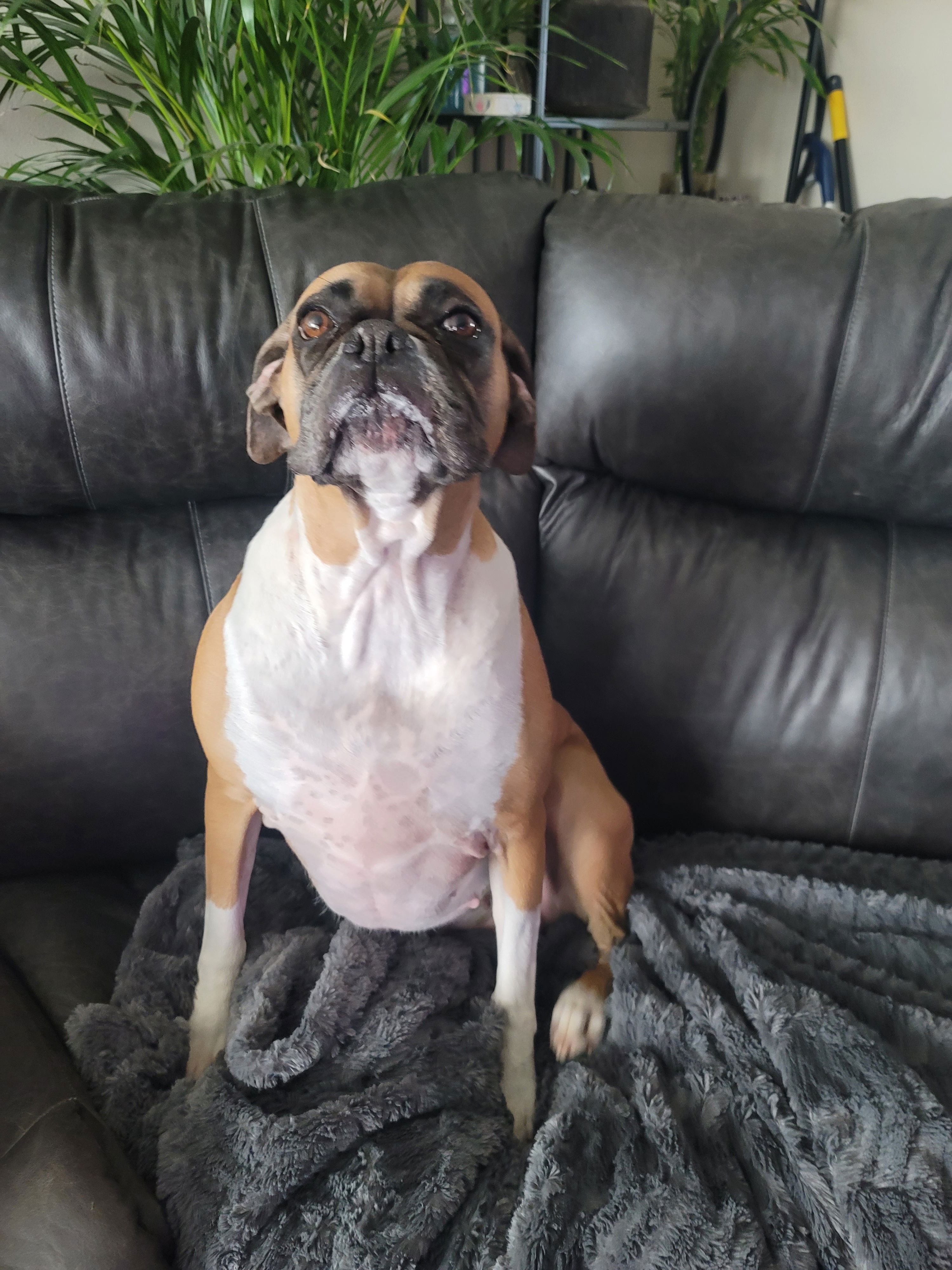 Memes and Funny Pics LXIX - Page 83