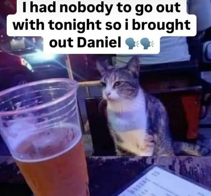 Memes and Funny Pics LXXII - Page 64