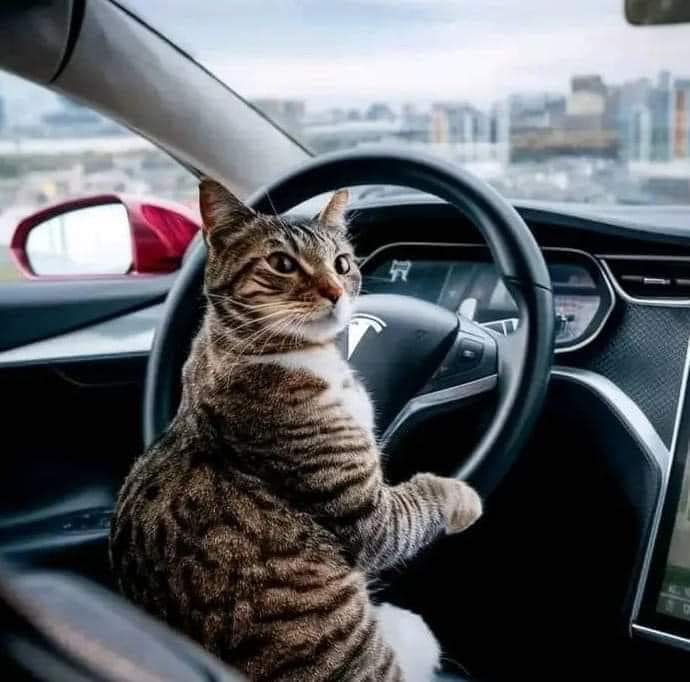 Memes and Funny Pics LXX - Page 64