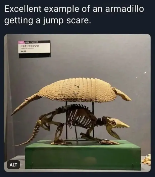 Memes and Funny Pics LXX - Page 64