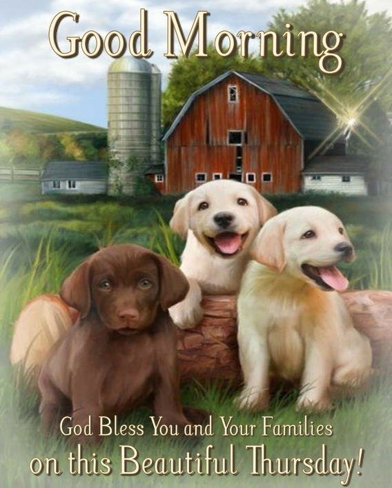 Memes and Funny Pics LXlll - Page 13