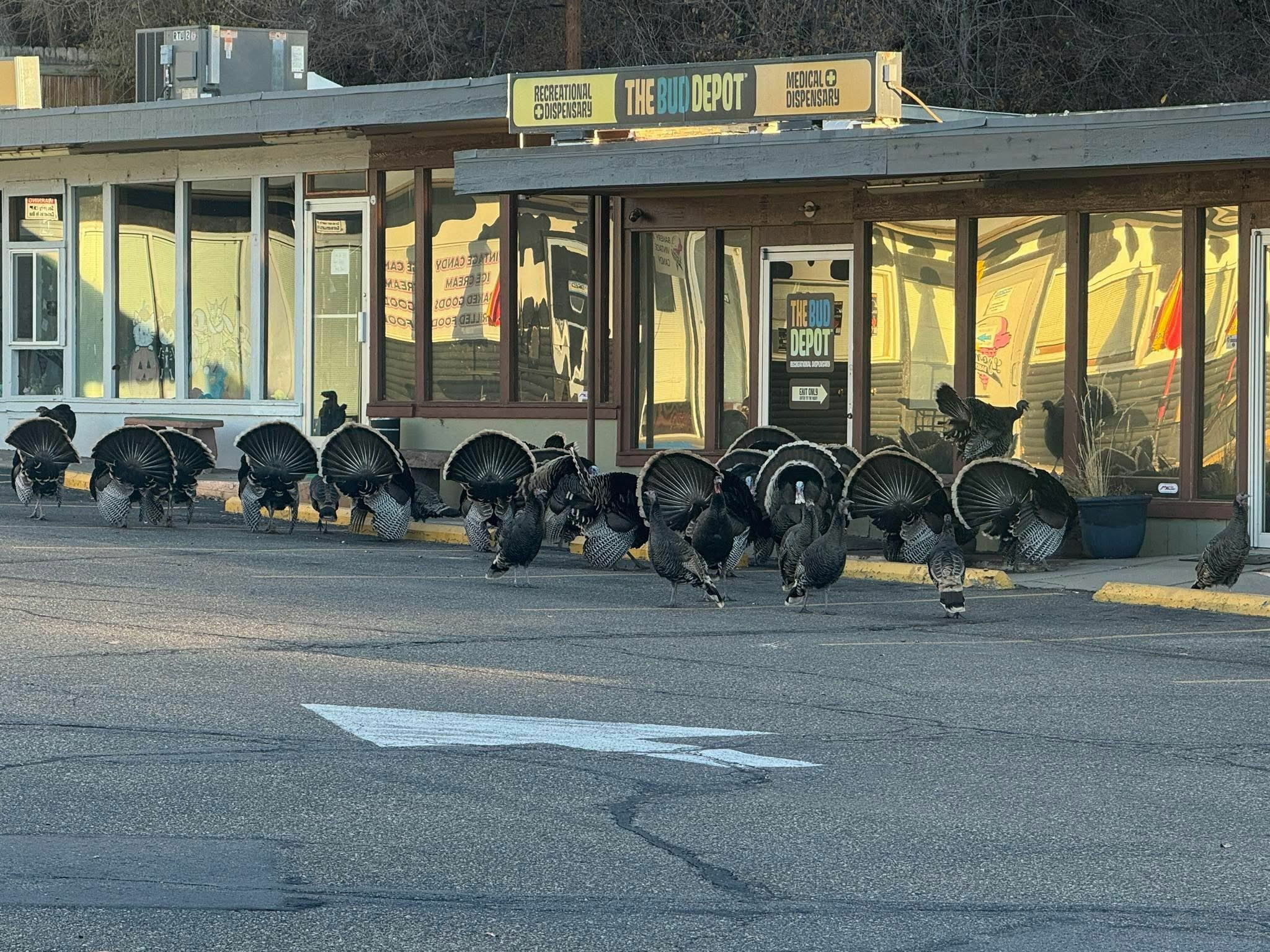 Its meme time - 24hourcampfire