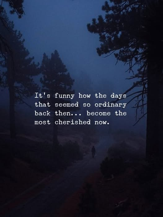 Memes and Funny Pics LX1 - Page 78