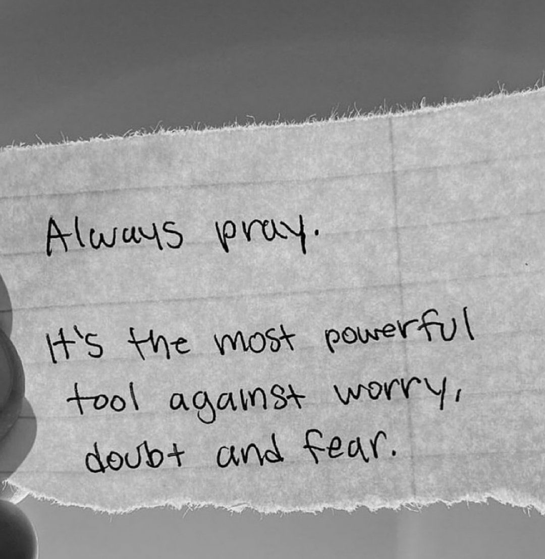 Andrew Torba ️ on Gab: '' - Gab Social