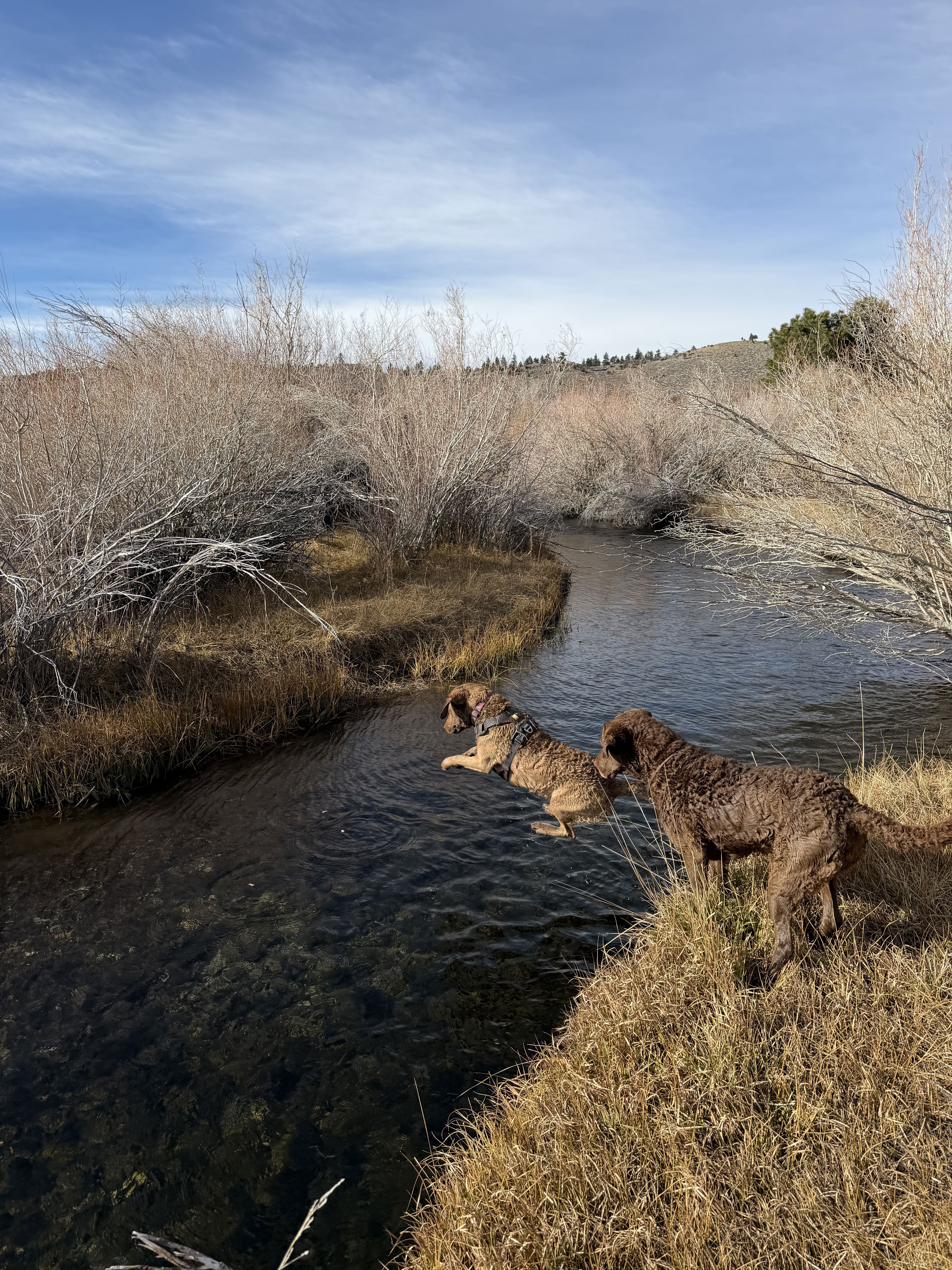 Memes and Funny Pics LXIX - Page 26