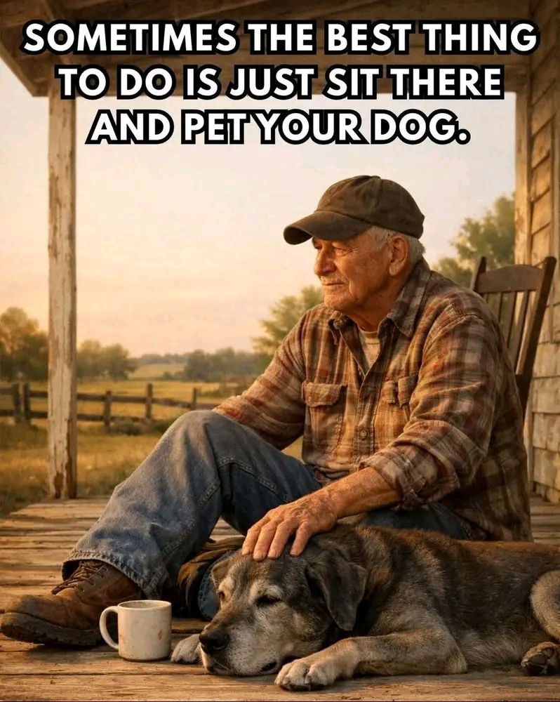 Memes and Funny Pics LXIX - Page 75